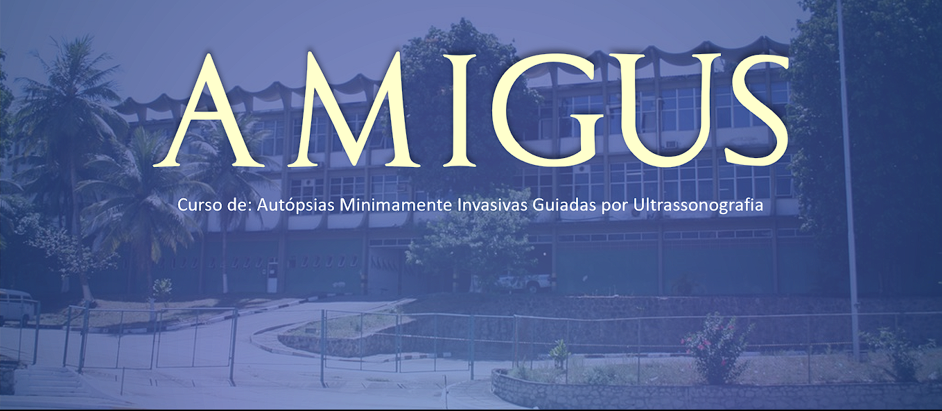 Autópsias minimamente invasivas guiadas por ultrassonografia-AMIGUS ...